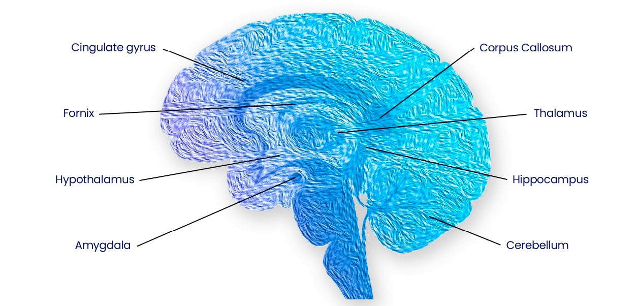 The Demartini Method | Awaken Your Mental Superpower