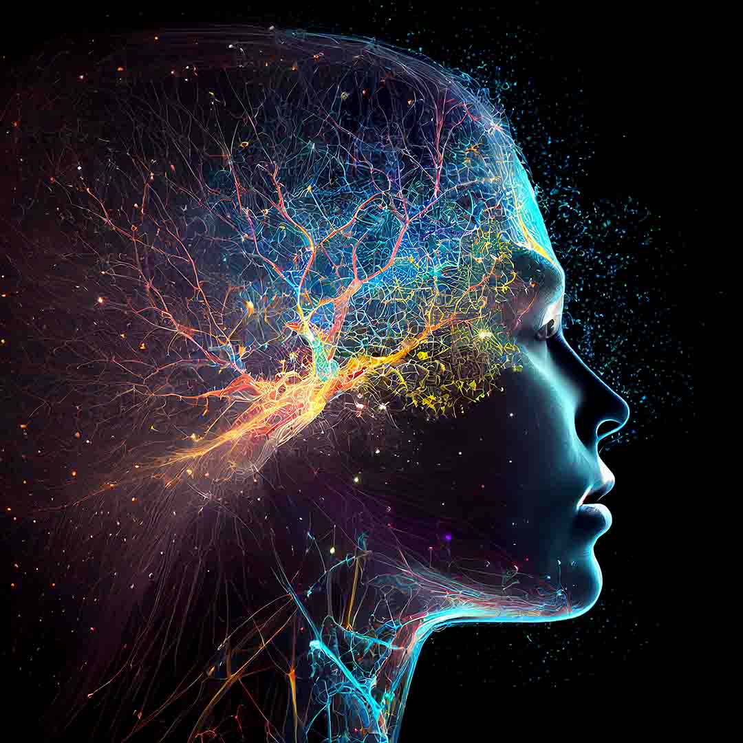 Demartini Learning - Online Personal Development Courses